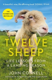Twelve Sheep: Life Lessons from a Lambing Season, John Connell ...